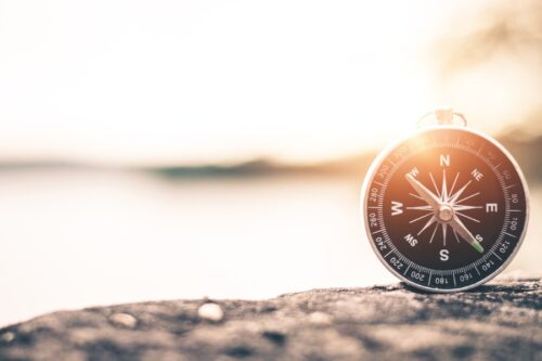 Financial Planning for Widows and Widowers | Savant Wealth Management